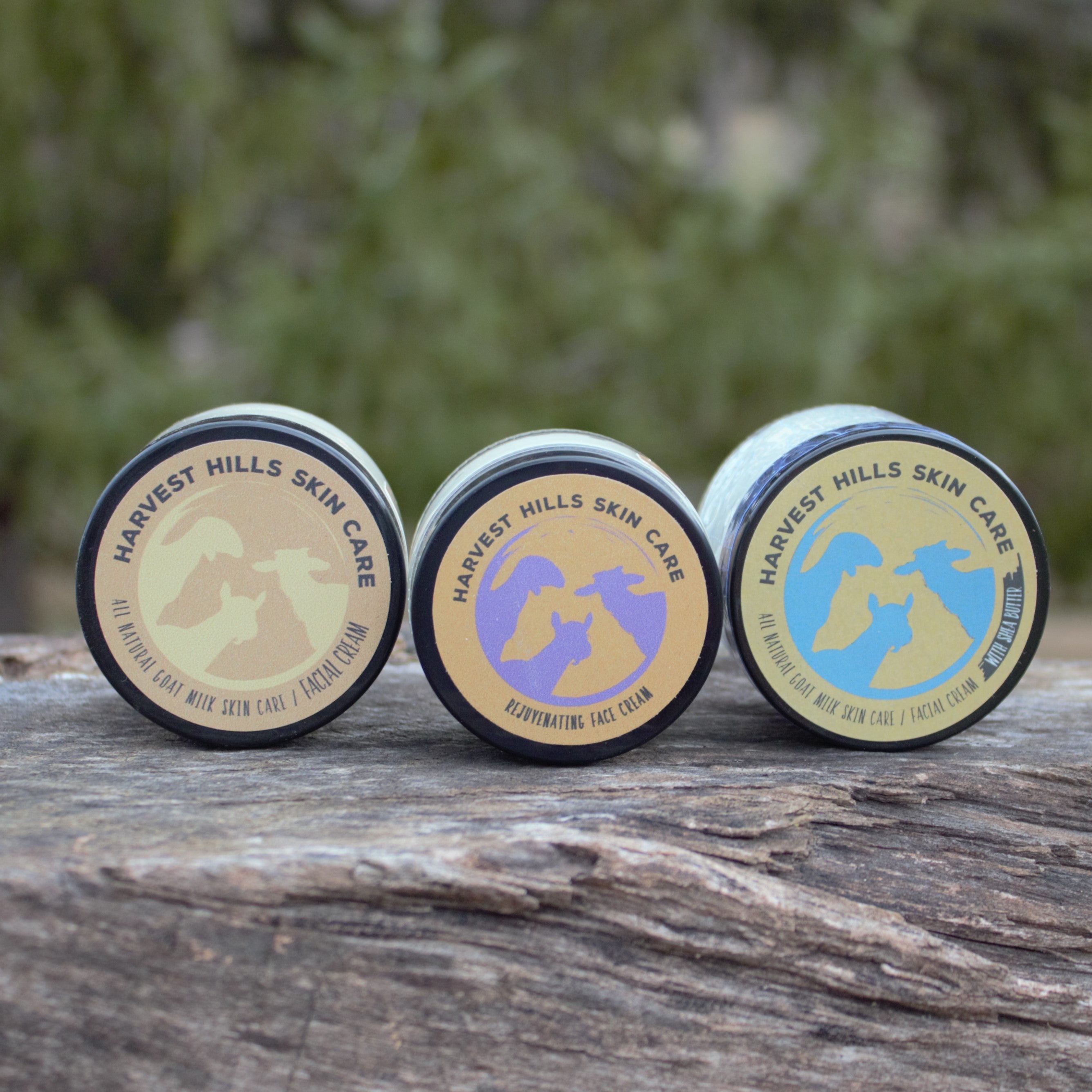 Choosing a face cream – Harvest Hills Goat Milk Skin Care